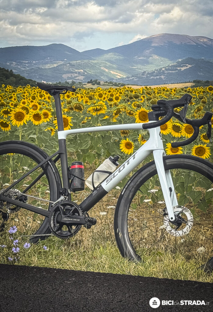 TEST - Prologo Scratch M5 PAS 3DMSS: una sella 3D diversa dalle altre...